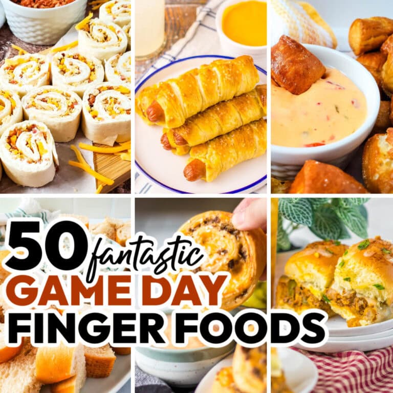 30+ Travel-Friendly Finger Food Appetizers! - Party Snack Central
