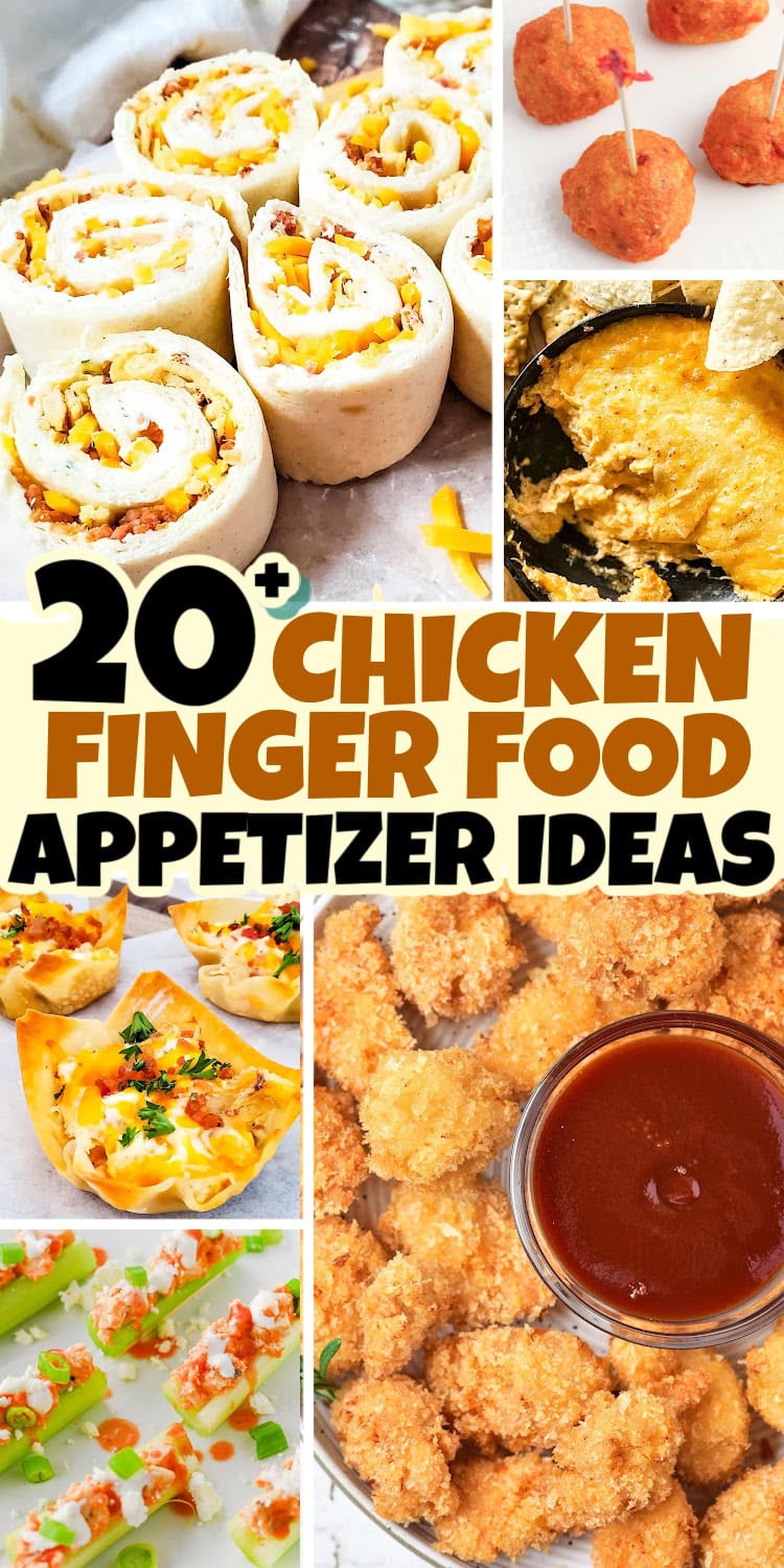 20+ Chicken Appetizers for a Party - Party Snack Central