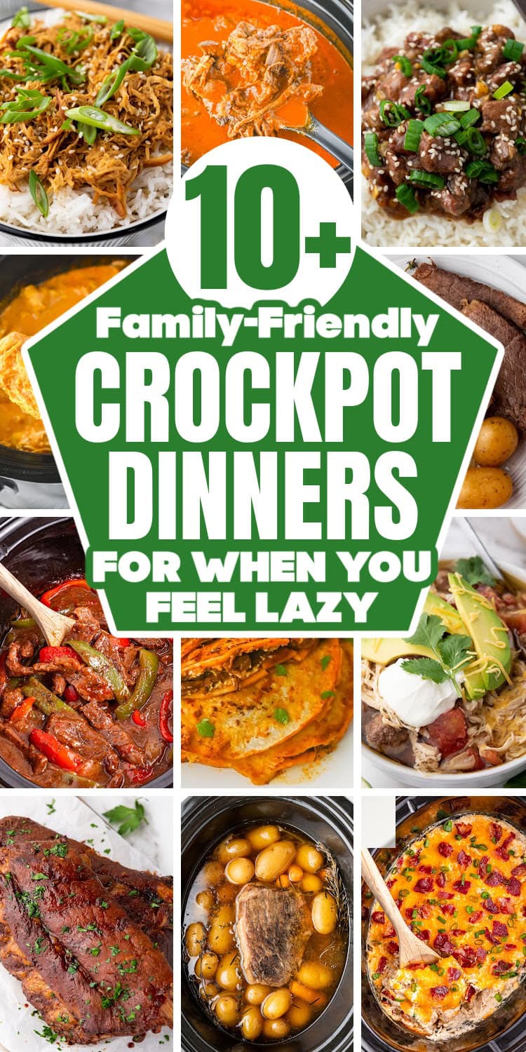 20 Dump-and-Go Crockpot Slow Cooker Recipes - Party Snack Central